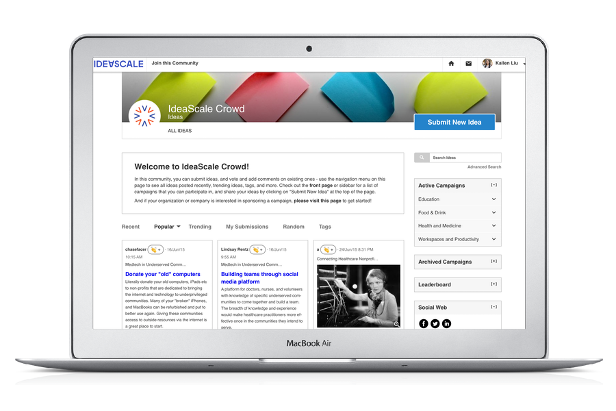 IdeaScale Crowd - You set the challenge, we deliver the crowd