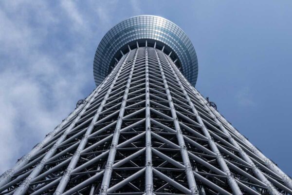 What is Organizational Structure? Definition, Types, Hierarchy, and ...
