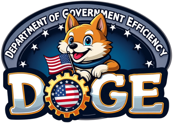 Innovate with the Department of Government Efficiency (DOGE)